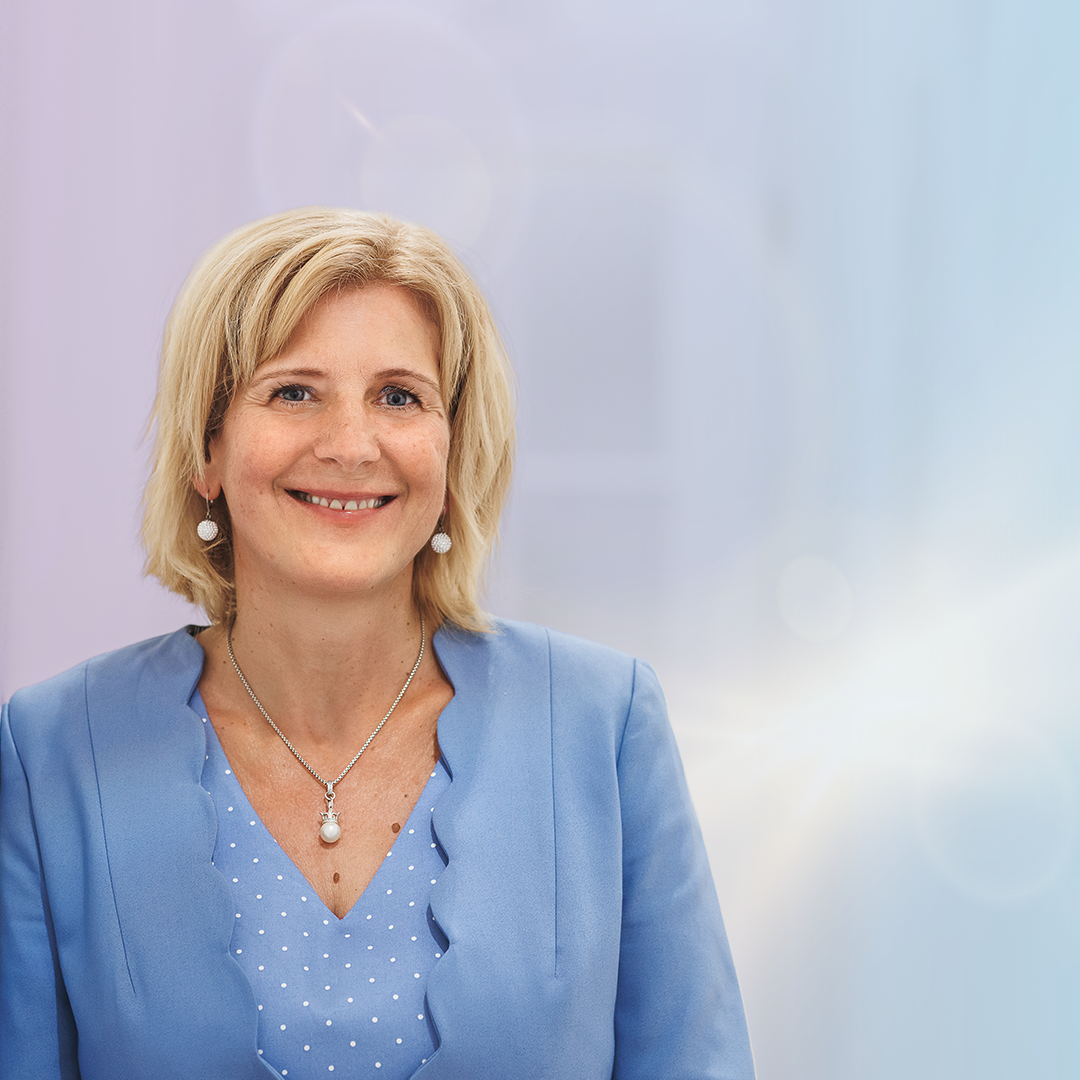 Die Stiftung - Schick-Stiftung